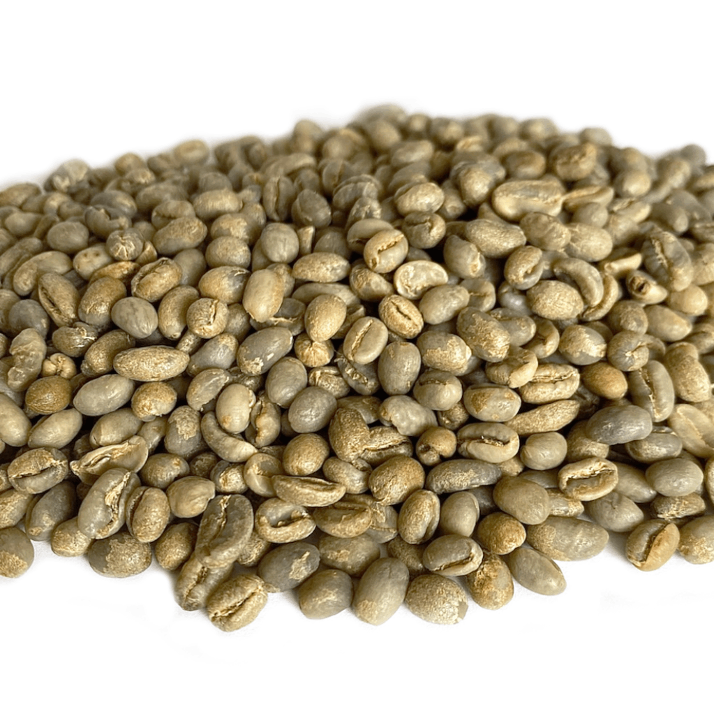 Green Coffee Beans | Unroasted Coffee Beans - Coffee Bean Corral